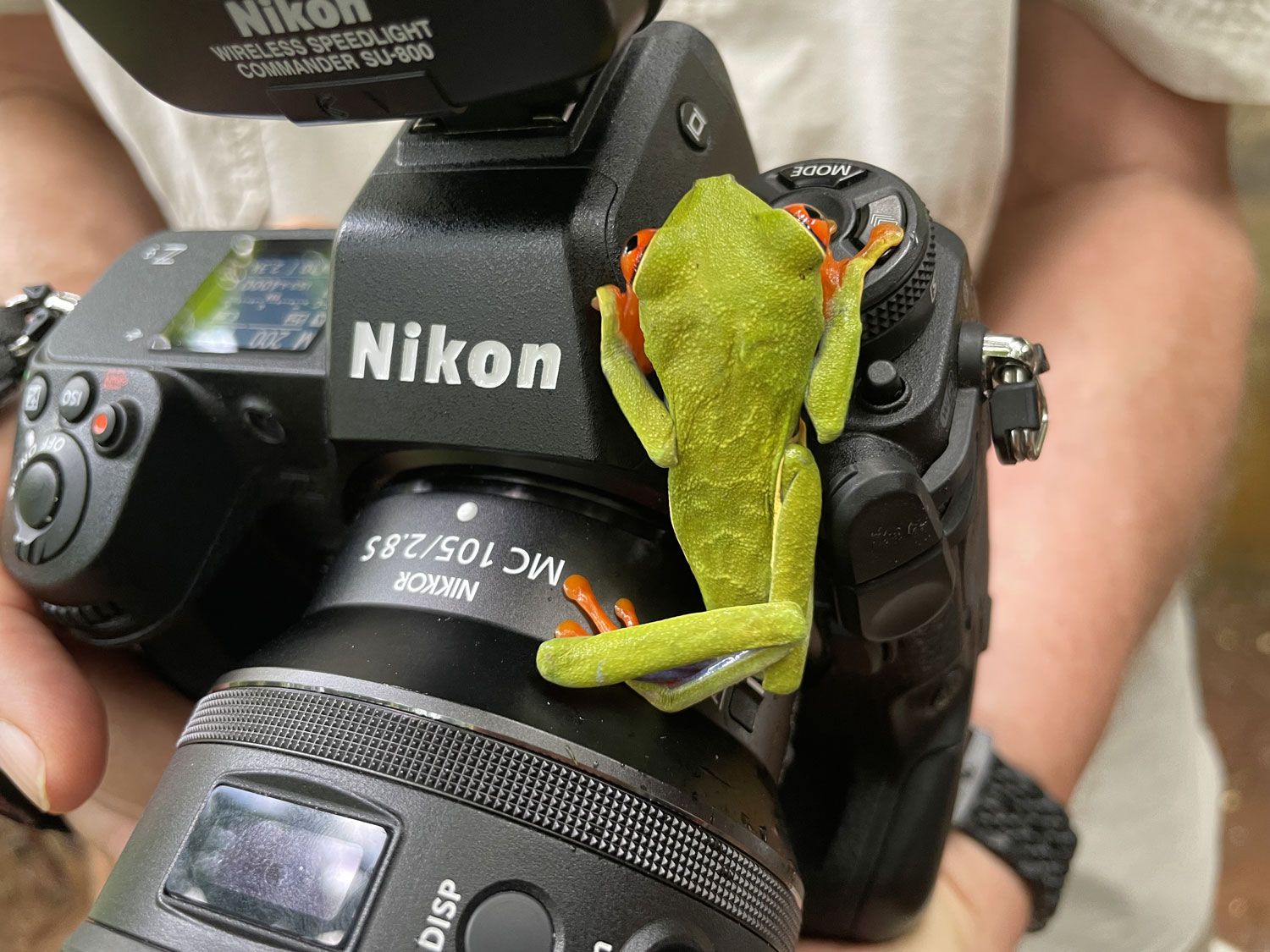 Cosmos Tours GmbH – Fotos & Erlebnisberichte